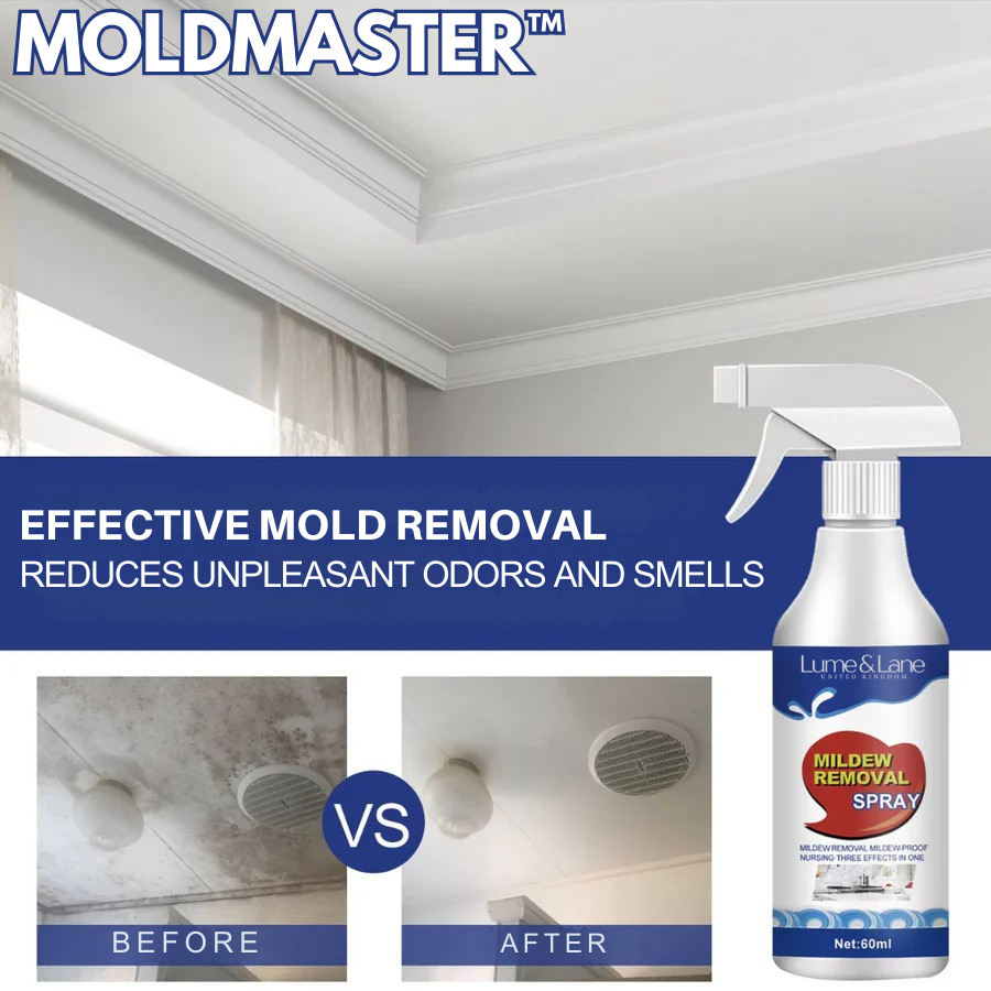 MoldMaster™ | Erase Mold in 30 Minutes and Secure a Healthier Home ...