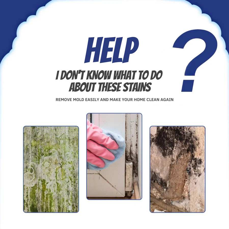 MoldMaster™ | Erase Mold in 30 Minutes and Secure a Healthier Home ...